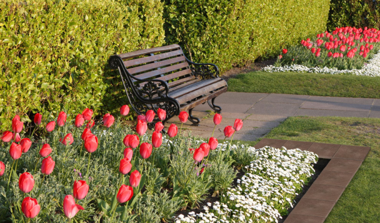 Stompstone | Better than stone for far less cost.